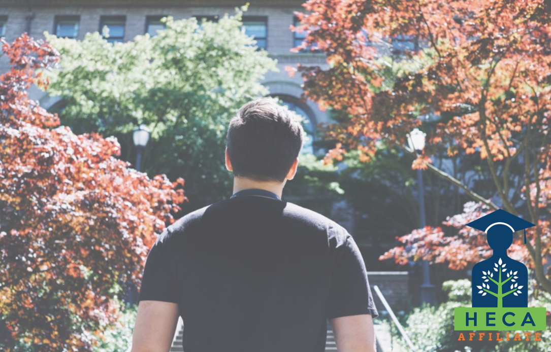 Overview of The True You - Summer Springboard