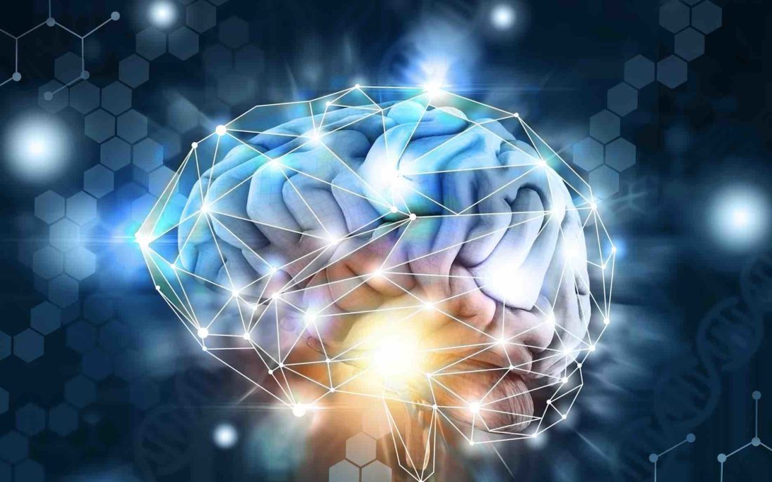 Psychology & Neuroscience at Yale | Summer Springboard