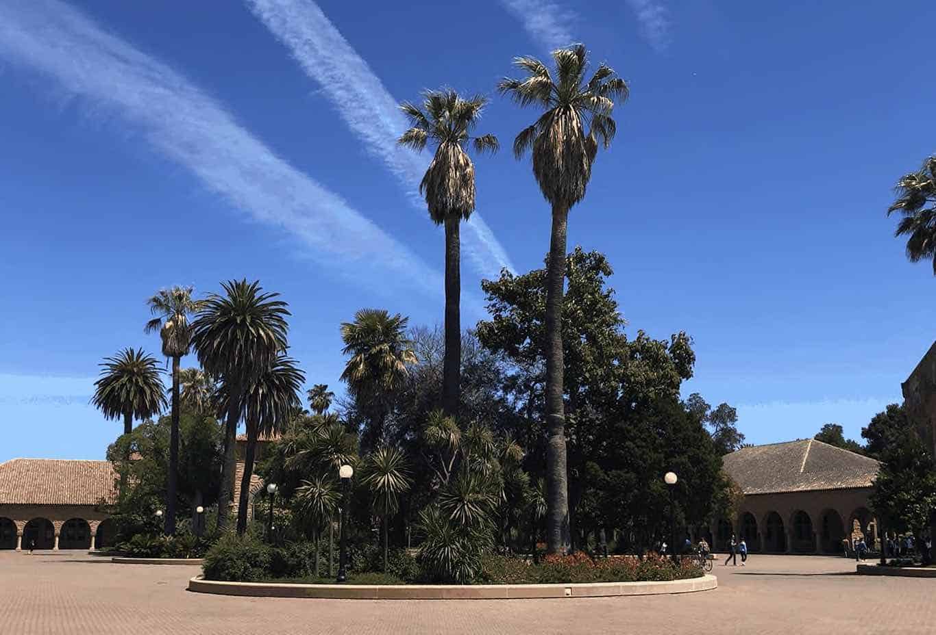 Guide to Living on a College Campus for the First Time - Summer Springboard